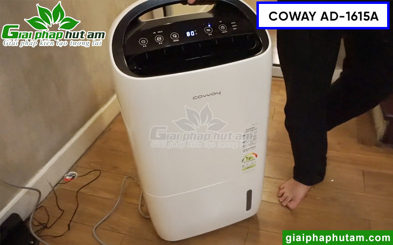Máy Hút Ẩm Coway Có Tốt Không? Coway AD-1615A Giá Rẻ 2025